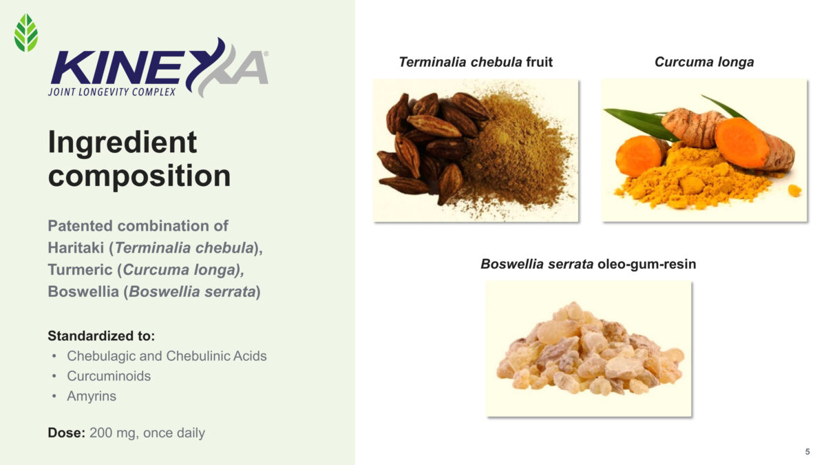 Kinexa: PLT Health's Whole-Joint Longevity Complex, Backed by MRI ...