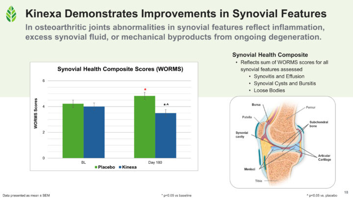 Kinexa: PLT Health's Whole-Joint Longevity Complex, Backed by MRI ...