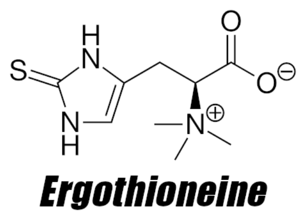 Ergothioneine: The Immunity and Energy Protector
