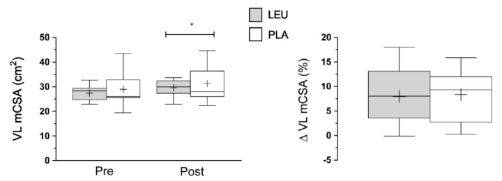 HMB (β-hydroxy β-methylbutyrate): Performance-Driven Muscle Supplement