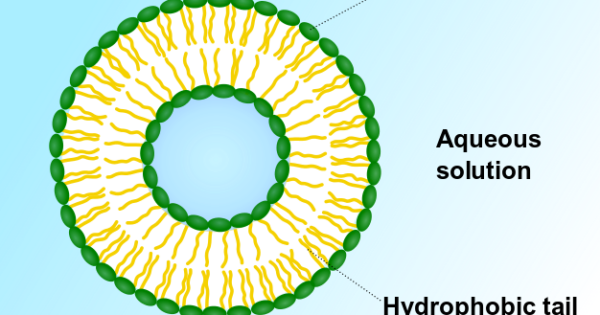Cyclosome: New Age Liposome + Cyclodextrin Delivery System