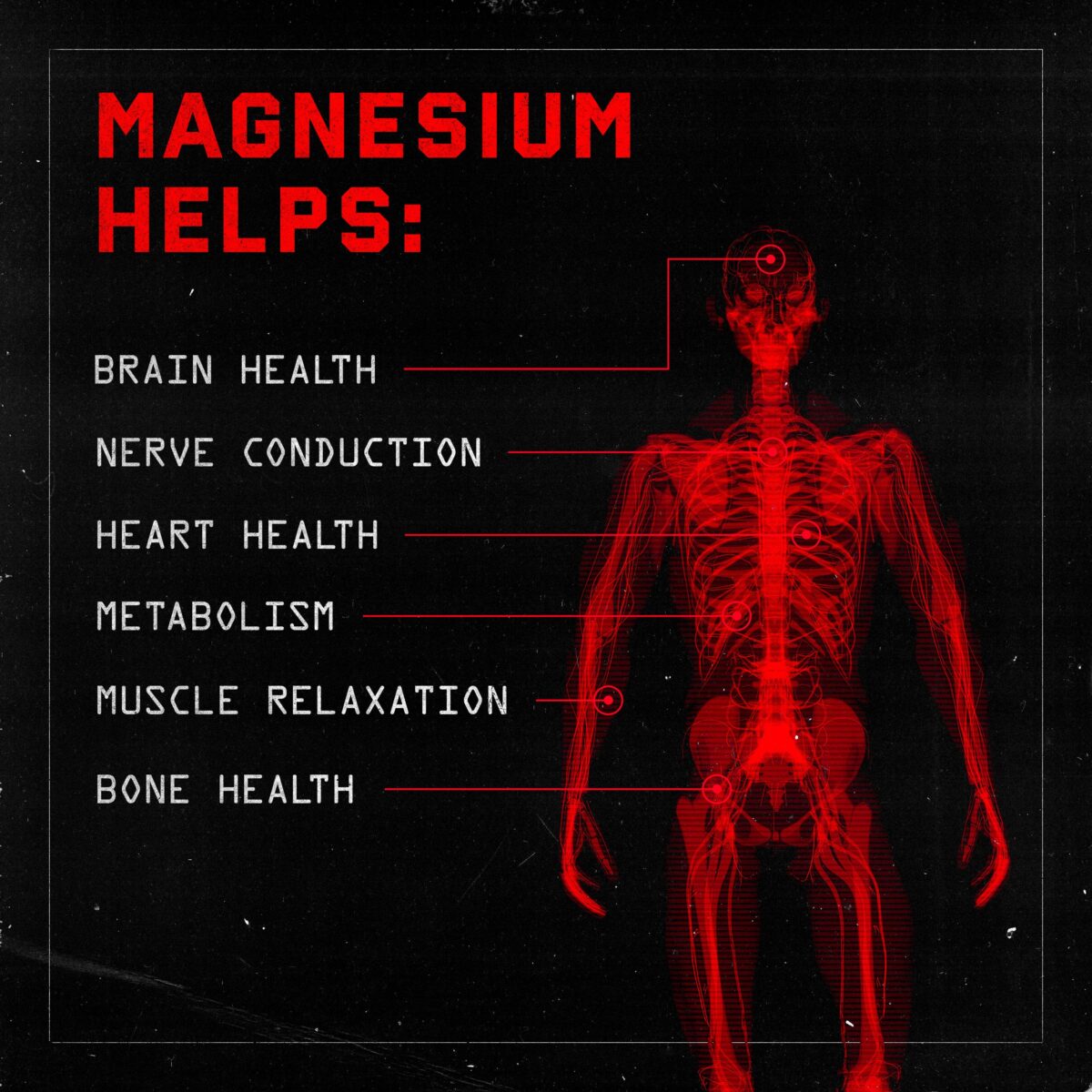 Jocko Magnesium: 3-Tier Recovery, Sleep, & Stress Support To Calm Your ...