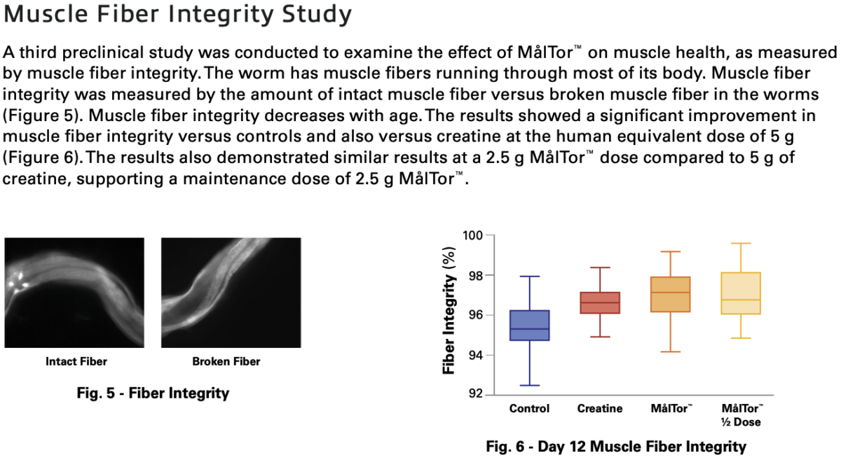 Formulator's Corner #16: The MalTor Mito-Recovery Pre-Workout That ...