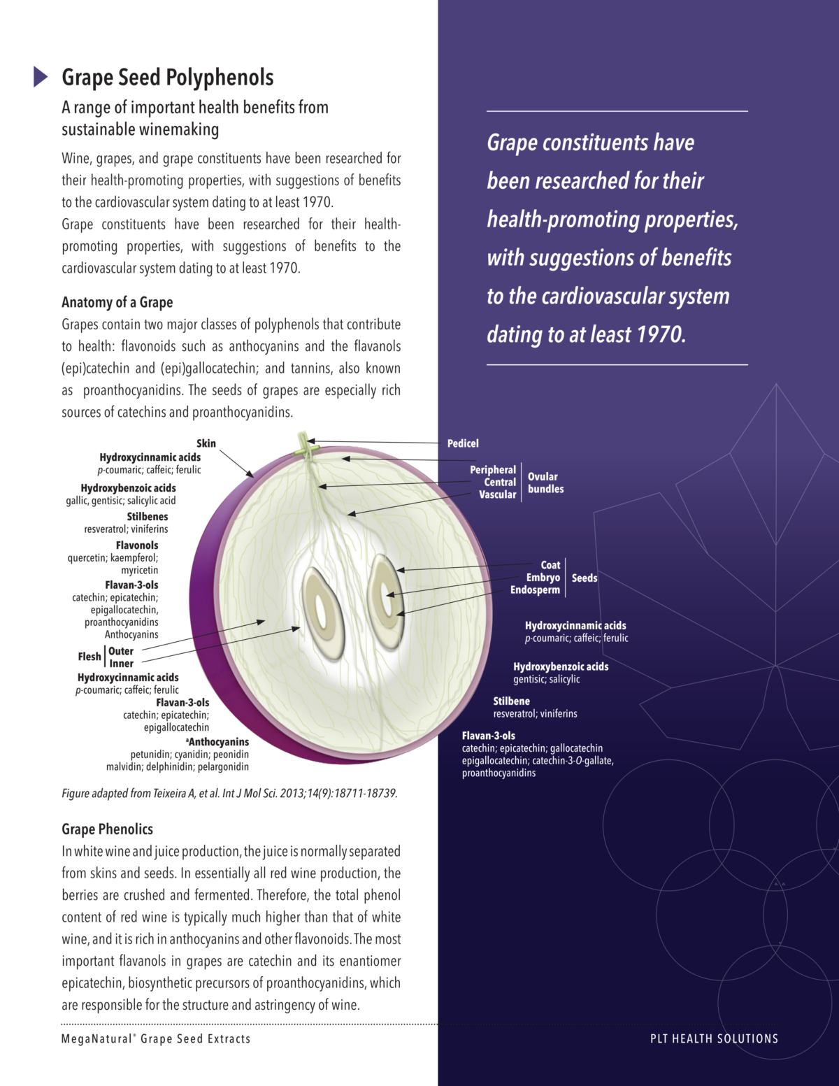 MegaNatural-BP for Metabolic Health: The Cardiometabolic Support ...