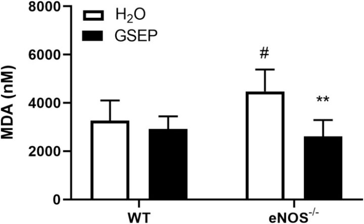 MegaNatural-BP: PLT Health's Clinically-Validated Grape Seed Extract ...