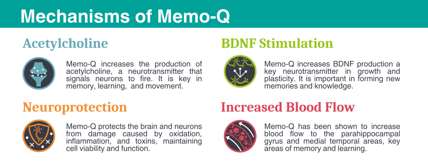 Memo-Q: The Silk Protein From Freemen Nutra That's Revolutionizing ...
