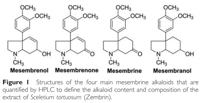 Zembrin: The Best-Studied Kanna Extract on the Market, by PLT Health ...