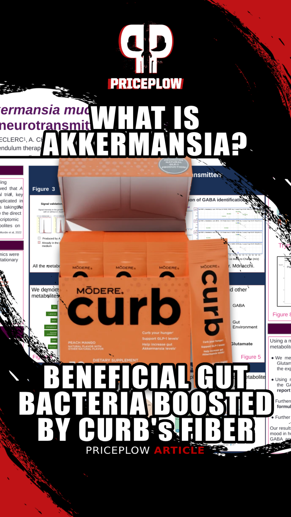 The Akkermansia Revolution: How Resistant Potato Starch Supports ...