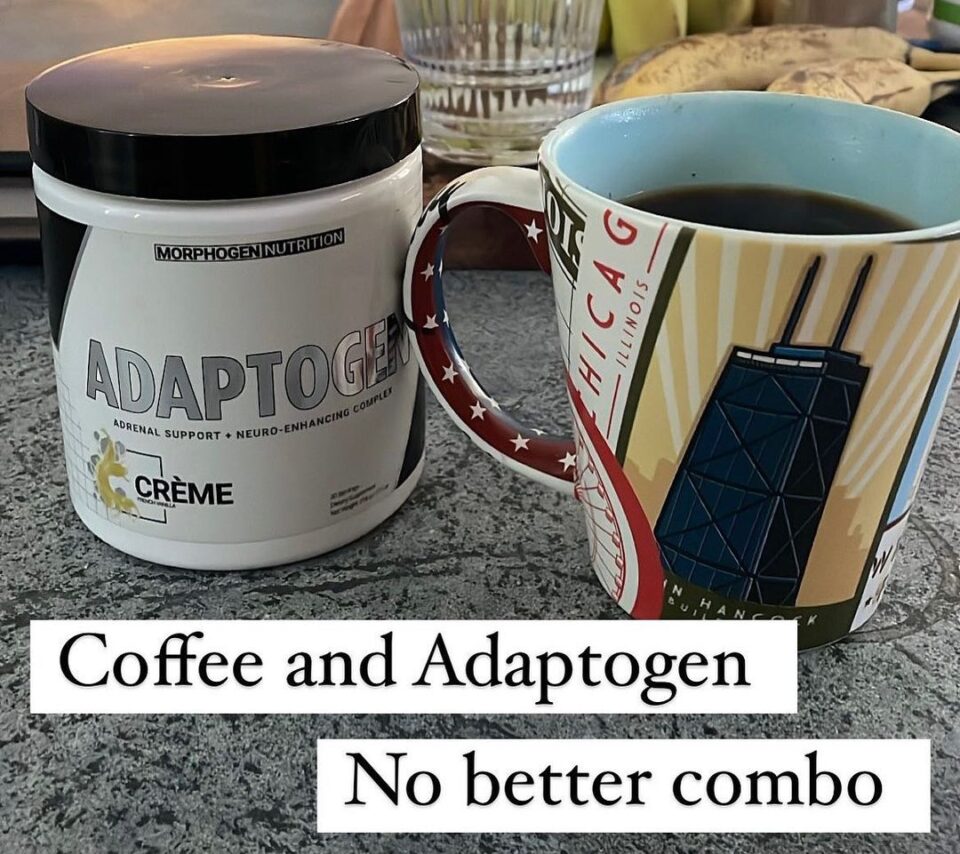 Morphogen Adaptogen: ZING Ginger Chai Latte