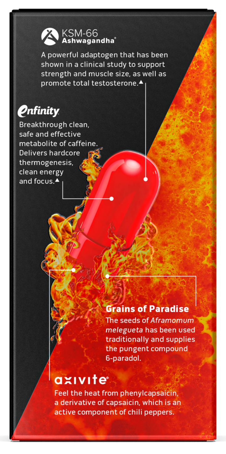 MuscleTech Alpha Test Thermo XTR: Upgraded Fat Burning Testosterone Booster