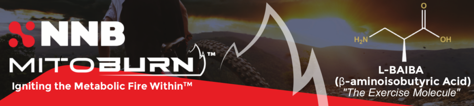 The NNB Nutrition Story: Supplement Ingredient Solutions for the New Decade