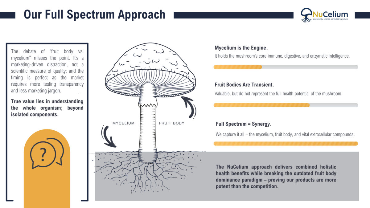 NuCelium: The Canadian Mushroom Company Setting a New Standard for ...