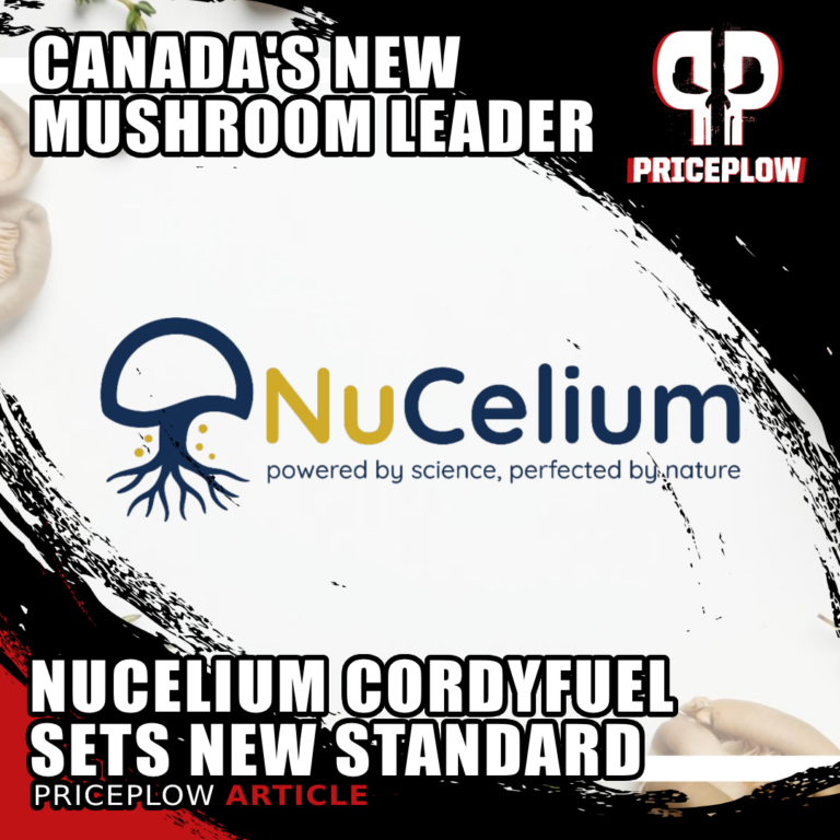 NuCelium: The Canadian Mushroom Company Setting a New Standard for ...
