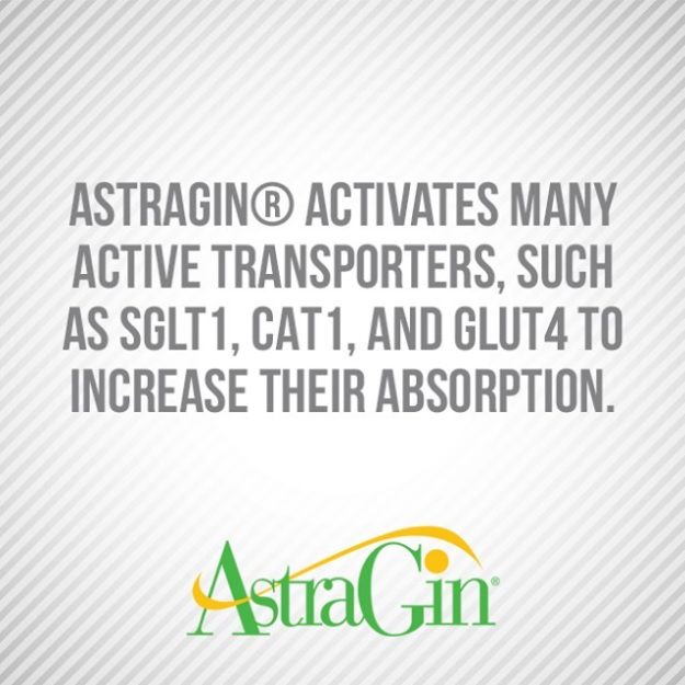 The Next Generation of Hydrating Amino Acids - ThaiMedFood