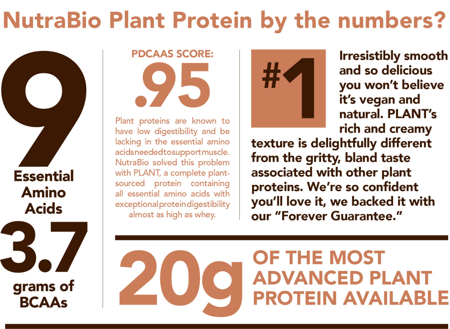 NutraBio Plant Protein is Here (and One Flavor is Astonishing!)
