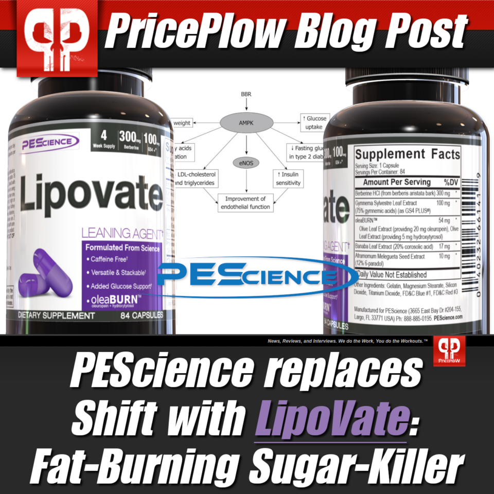 Alphamine Capsules: Unleash the Power of PQQ