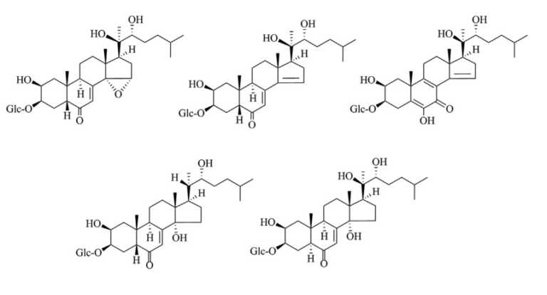 Turkesterone and Phytoecdysteroids: Mother Nature's Anabolic Warfare