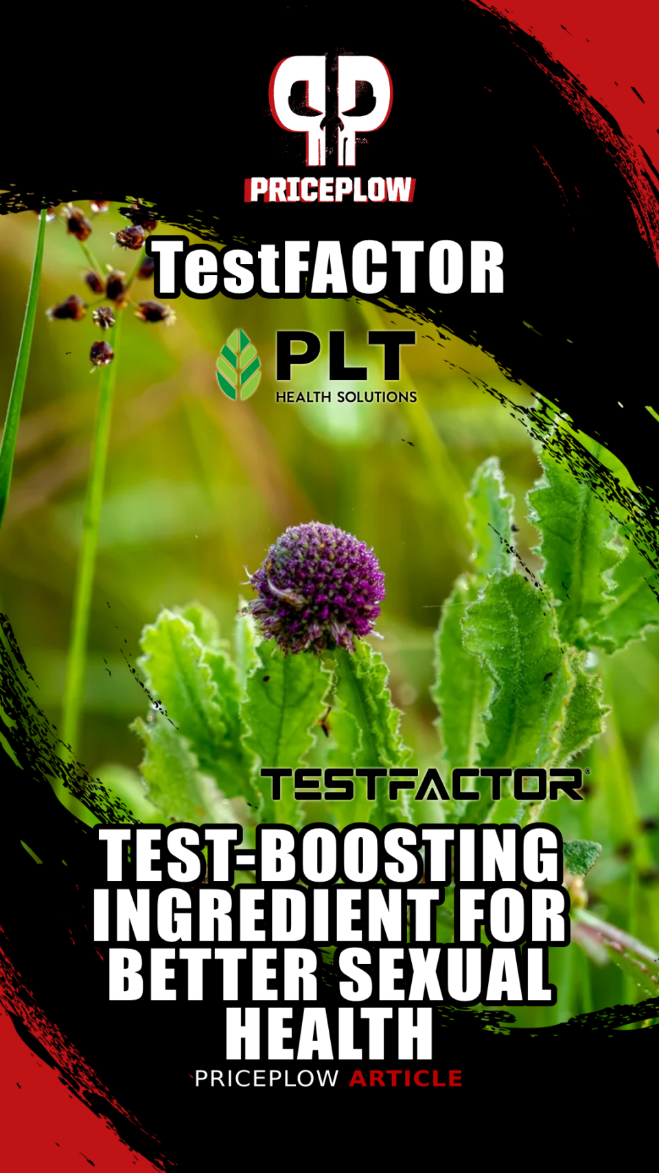 TestFACTOR: Testosterone-Boosting Ingredient for Better Sexual Health ...