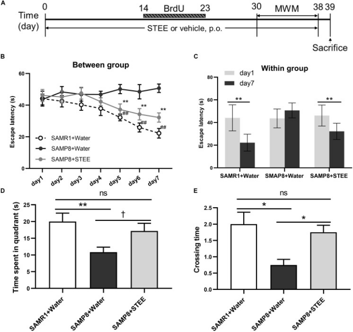 Polynol: Powerhouse Polyphenol Extract from Sugarcane