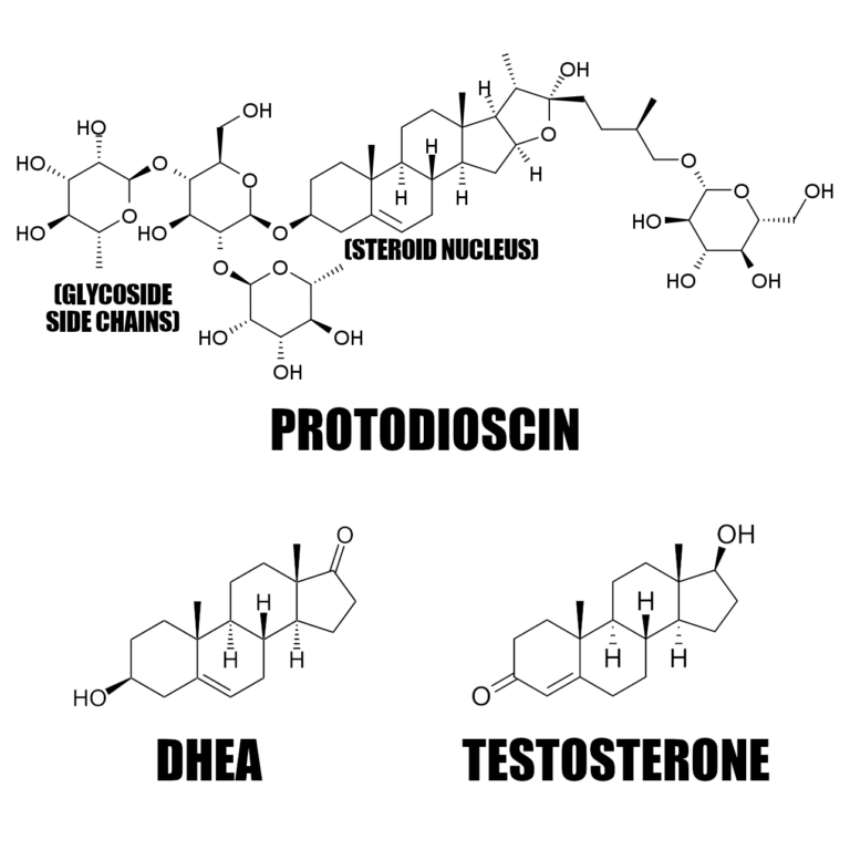 Enhanced Labs Top T: Harnessing ProtoTest and EndoFlo for Performance ...