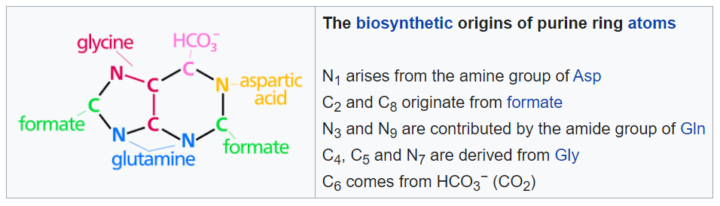 What are Nucleotides and How do they Affect Performance and Immunity?