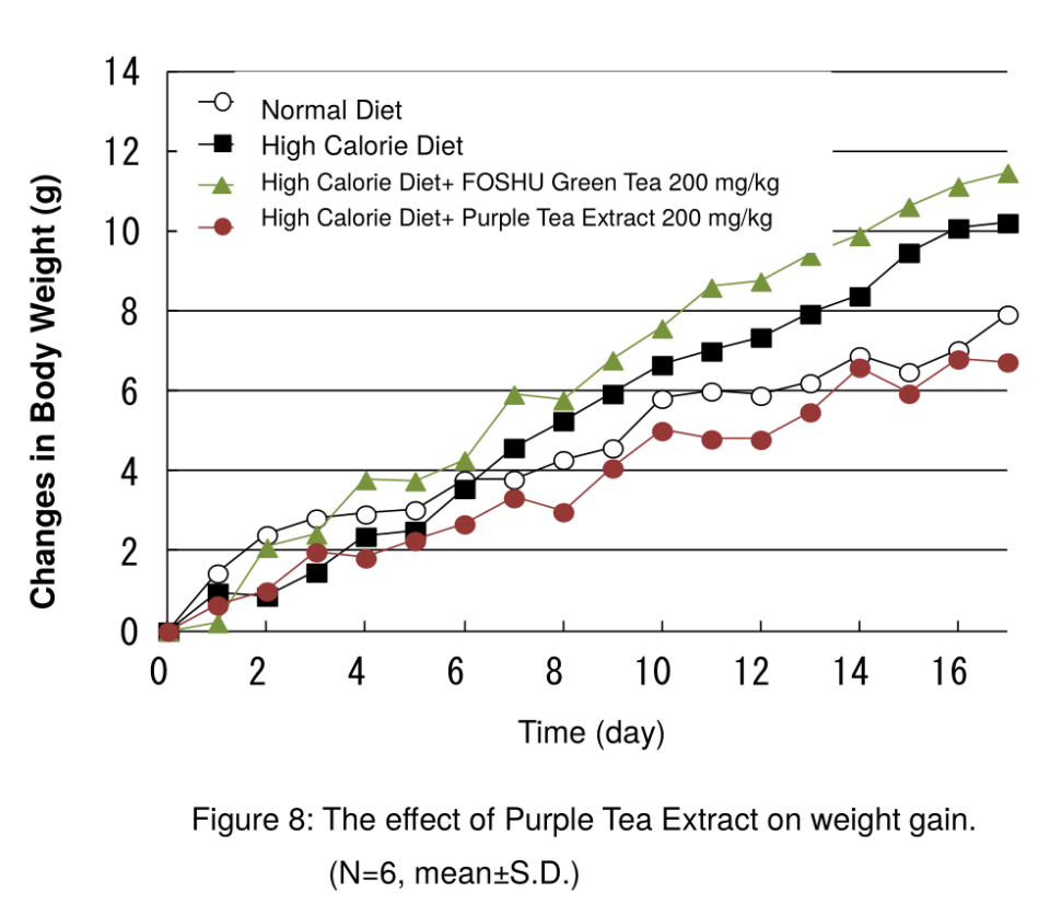 PurpleForce: AMPK-Boosting Purple Tea Extract with Patented GHG®