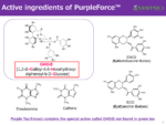PurpleForce: AMPK-Boosting Purple Tea Extract with Patented GHG®