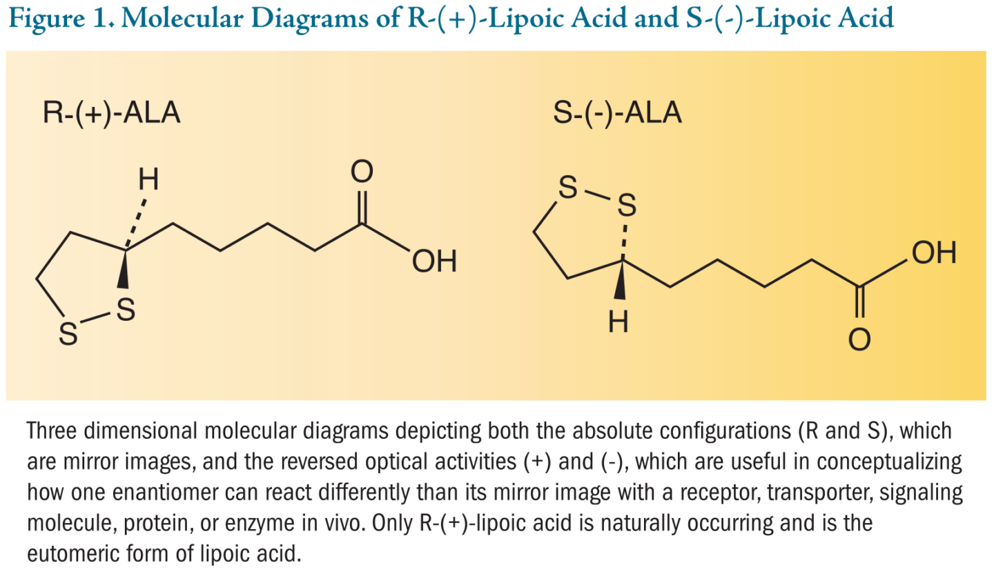 The Ultimate Guide to Alpha Lipoic Acid: Mechanisms, Clinical Evidence ...