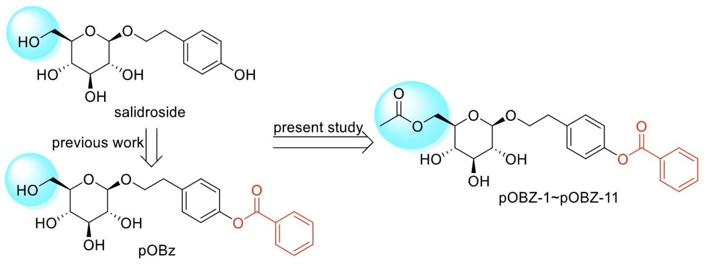 New Salidroside Research Underscores SalidroPure's Impact on Cognitive ...