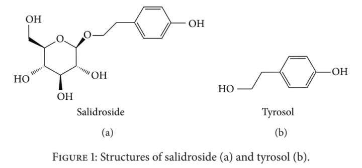 CreaSol SSAT: MolTek Nutrition Unveils CreaSol SSAT (Stabilized Tyrosol ...