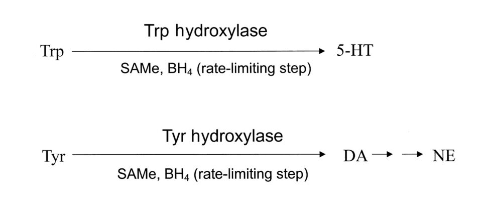 SAMe Supplements: Better Mood the Natural Way