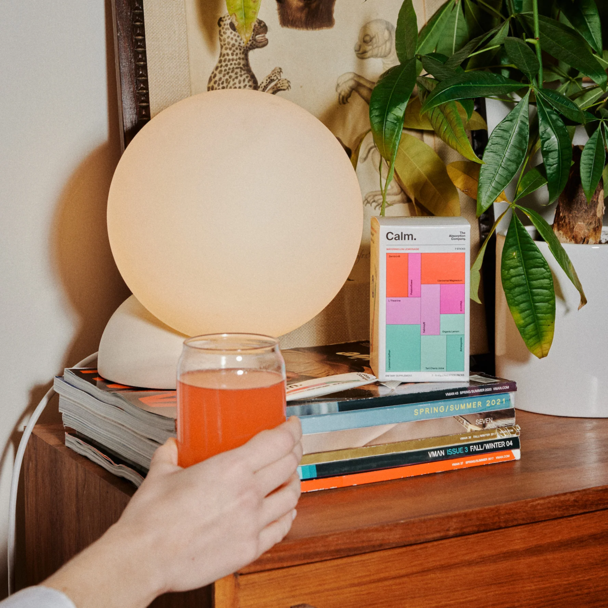 The Absorption Company's CALM: Nikki Reed's Zembrin-Centered Stress ...