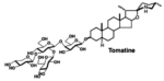 Tomatidine: The Muscle-Building Nightshade