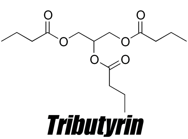 Tributyrin: The Gut Health Optimizer