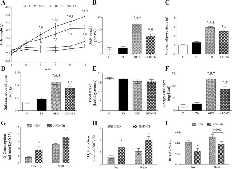 Tributyrin: The Gut Health Optimizer