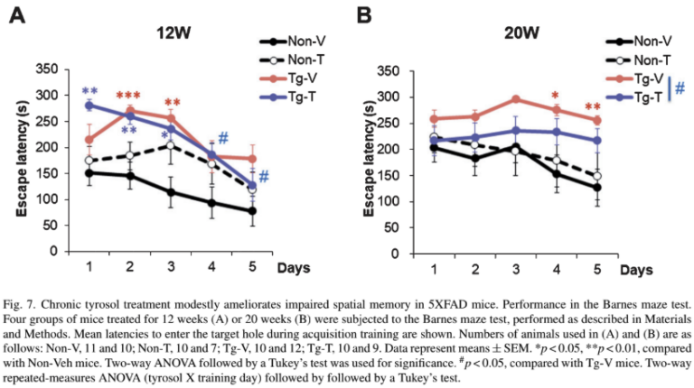 CreaSol SSAT: MolTek Nutrition Unveils CreaSol SSAT (Stabilized Tyrosol ...