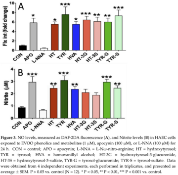 CreaSol SSAT: MolTek Nutrition Unveils CreaSol SSAT (Stabilized Tyrosol ...