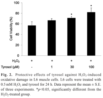 CreaSol SSAT: MolTek Nutrition Unveils CreaSol SSAT (Stabilized Tyrosol ...