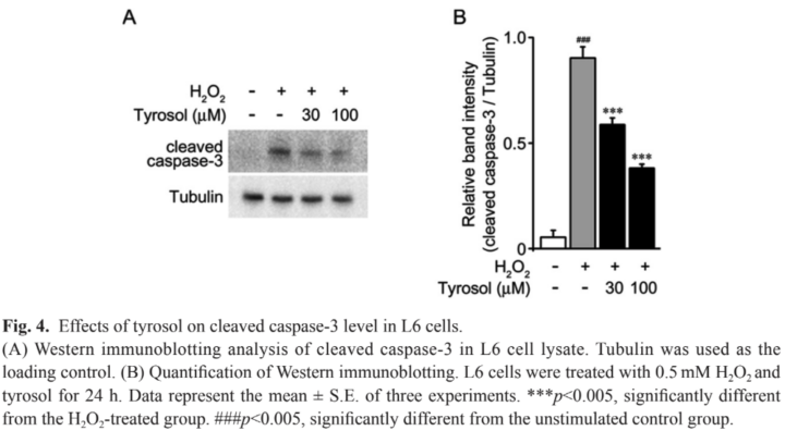 CreaSol SSAT: MolTek Nutrition Unveils CreaSol SSAT (Stabilized Tyrosol ...
