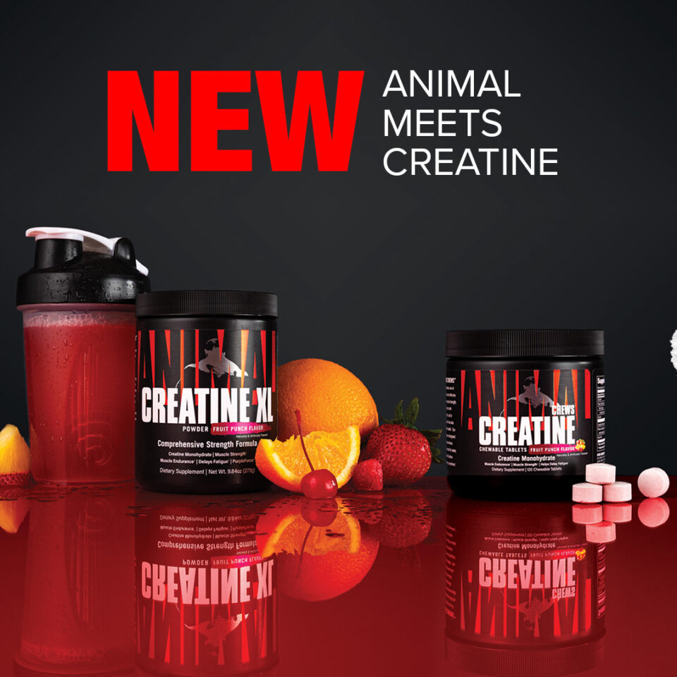 Animal Creatine CHEWS: The Best New Way to Take Creatine