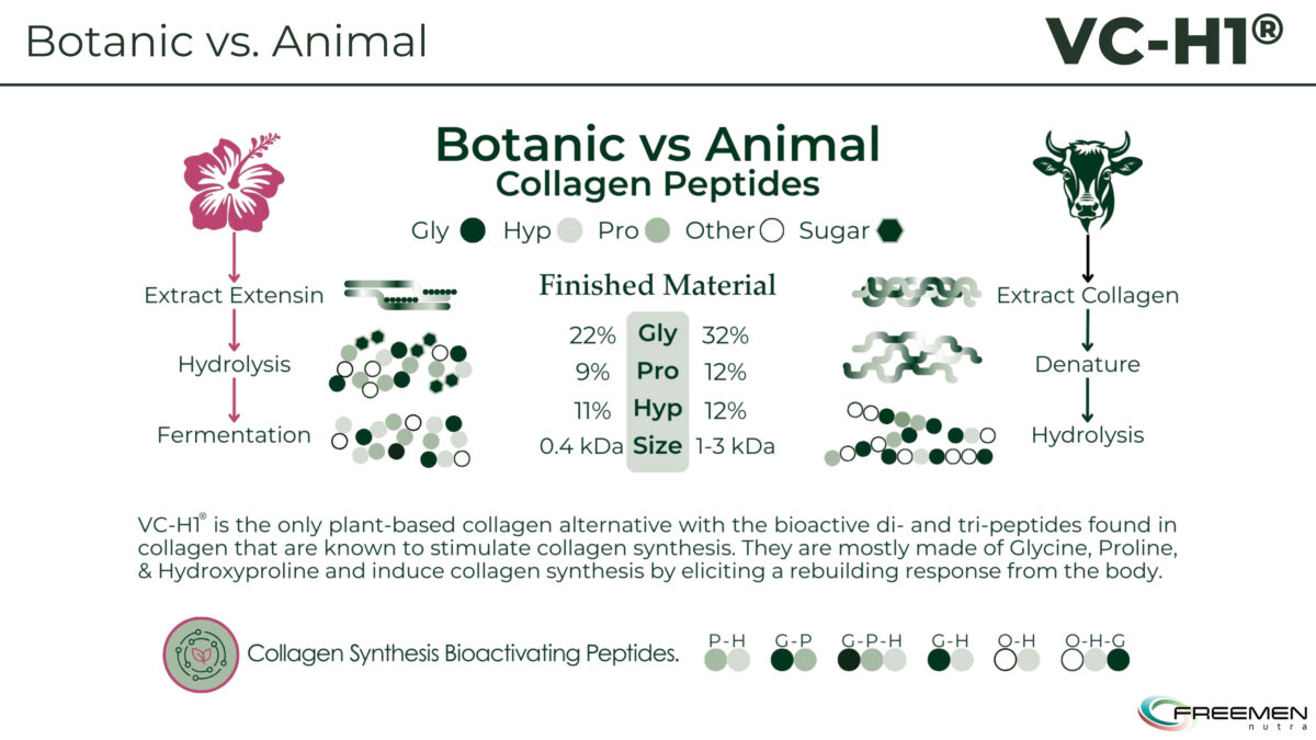 VC-H1 Botanic Collagen Peptides Made from Hibiscus: Where Beauty Blooms