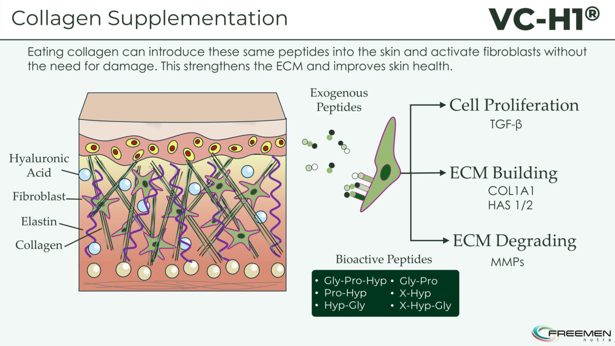 VC-H1 Botanic Collagen Peptides Made from Hibiscus: Where Beauty Blooms