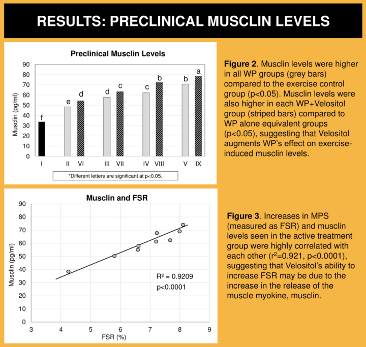 Alpha Lion SuperHuman POST: Muscle Protein Synthesis Maximizer