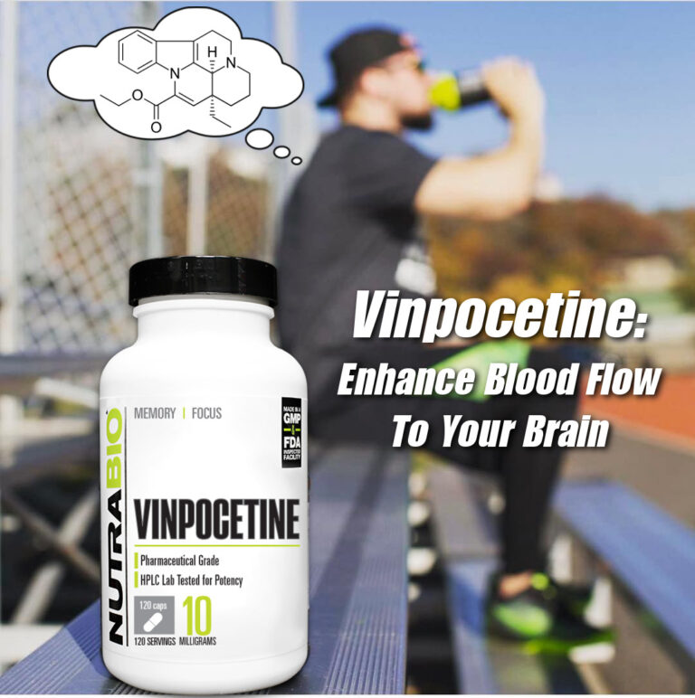Vinpocetine: Enhanced Blood Flow to Your Brain
