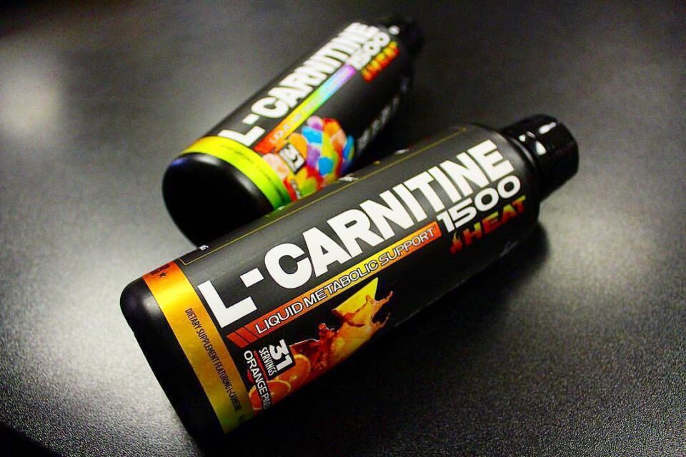 L-Carnitine is Underrated. New Meta Review Reminds Us Why.