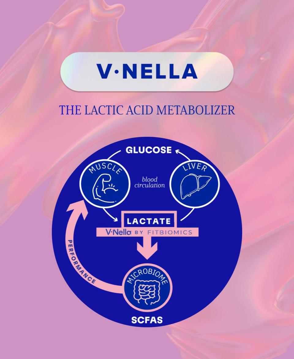 What is VNella? The Endurance Probiotic That Metabolizes Lactic Acid!
