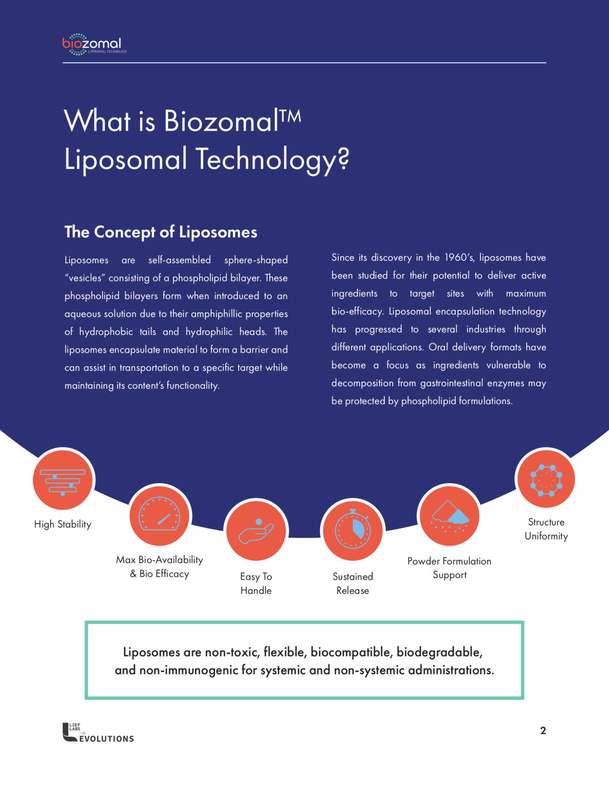 Biozomal Caffeine: Lasting Liposomal Energy from Lief Raws