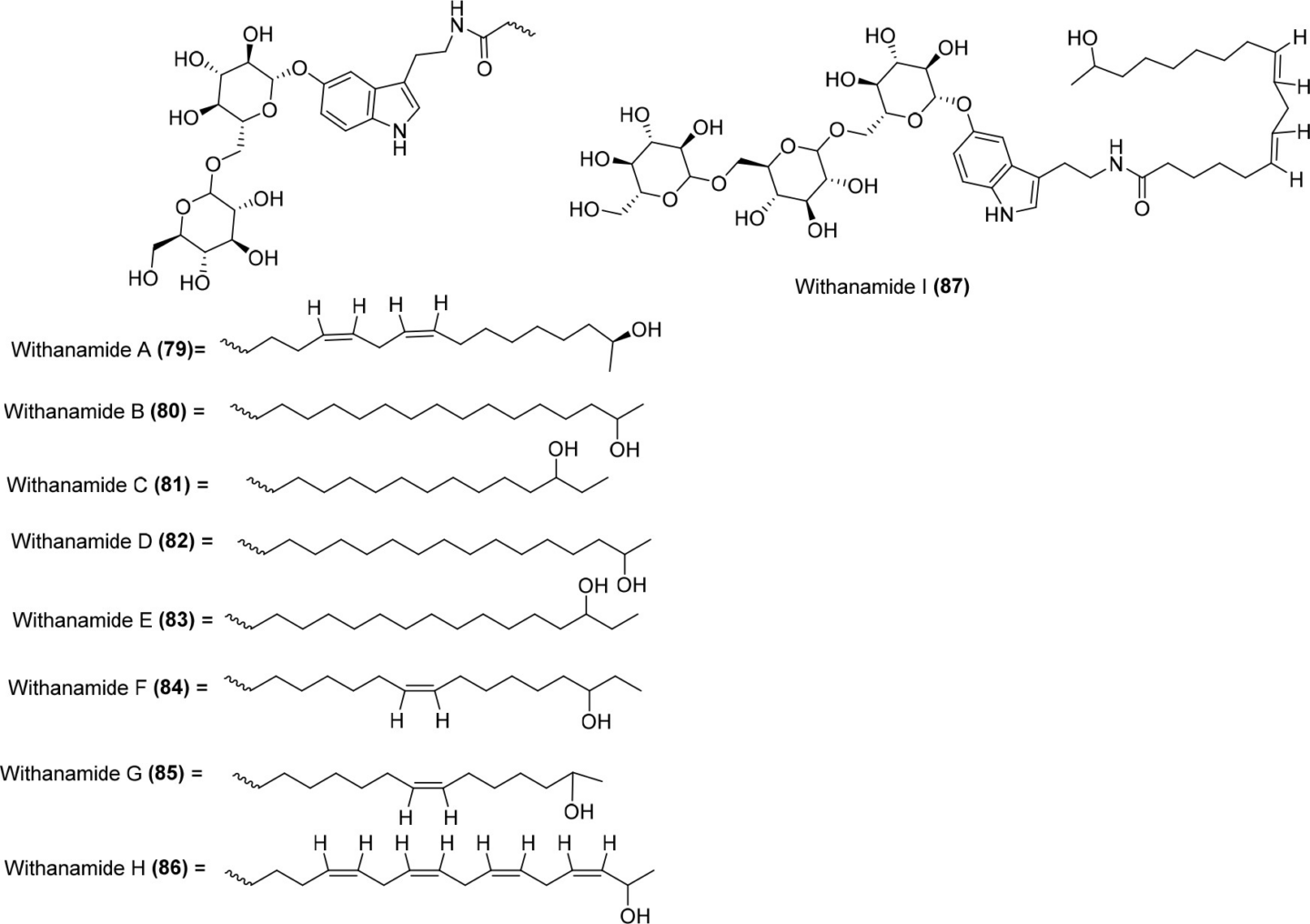 Shoden and the Ashwagandha Evolution: The Rise of Glycoside-Enhanced ...