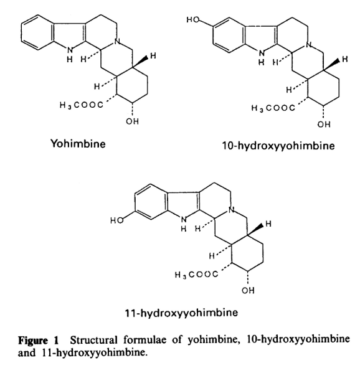Yohimbe: The Ultimate Guide to Nature's Potent Stimulant