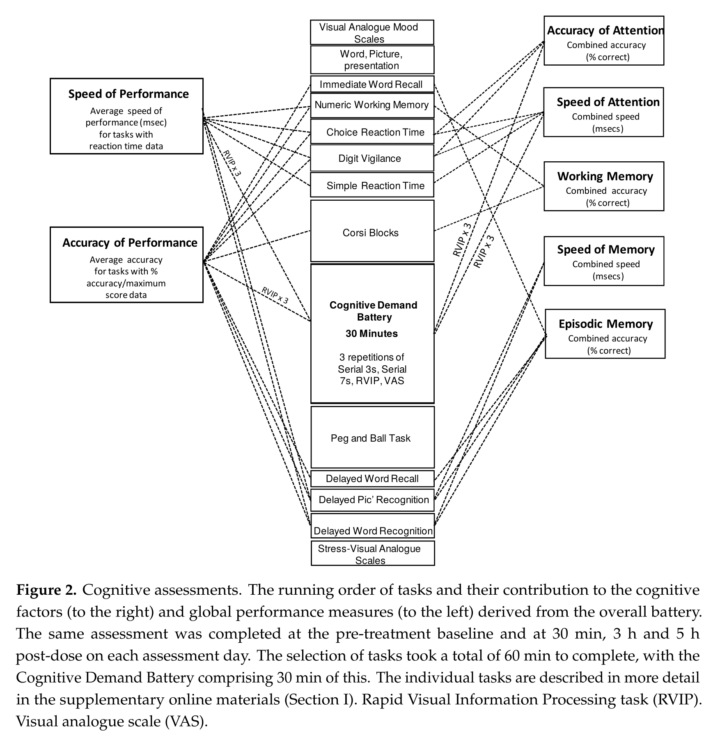 Zynamite: Next-Generation Brain and Body Support from Mangiferin
